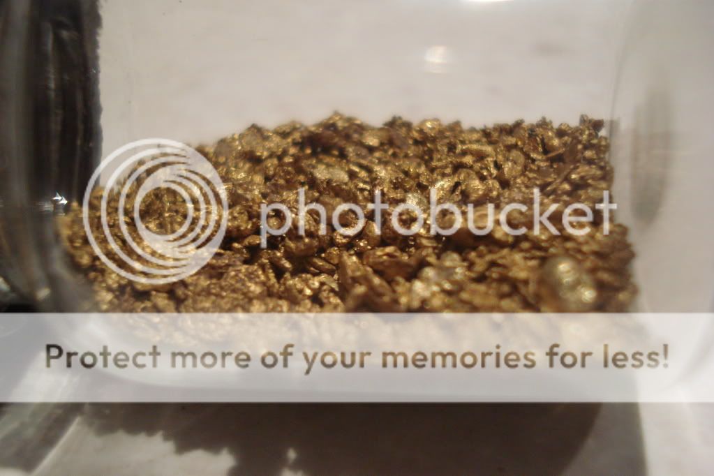 A bit of Tooloom Gold | Alluvial Gold Prospectors