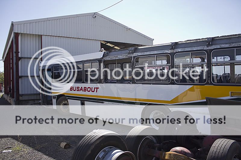 Busabout Wagga (including two ex Ventura buses)